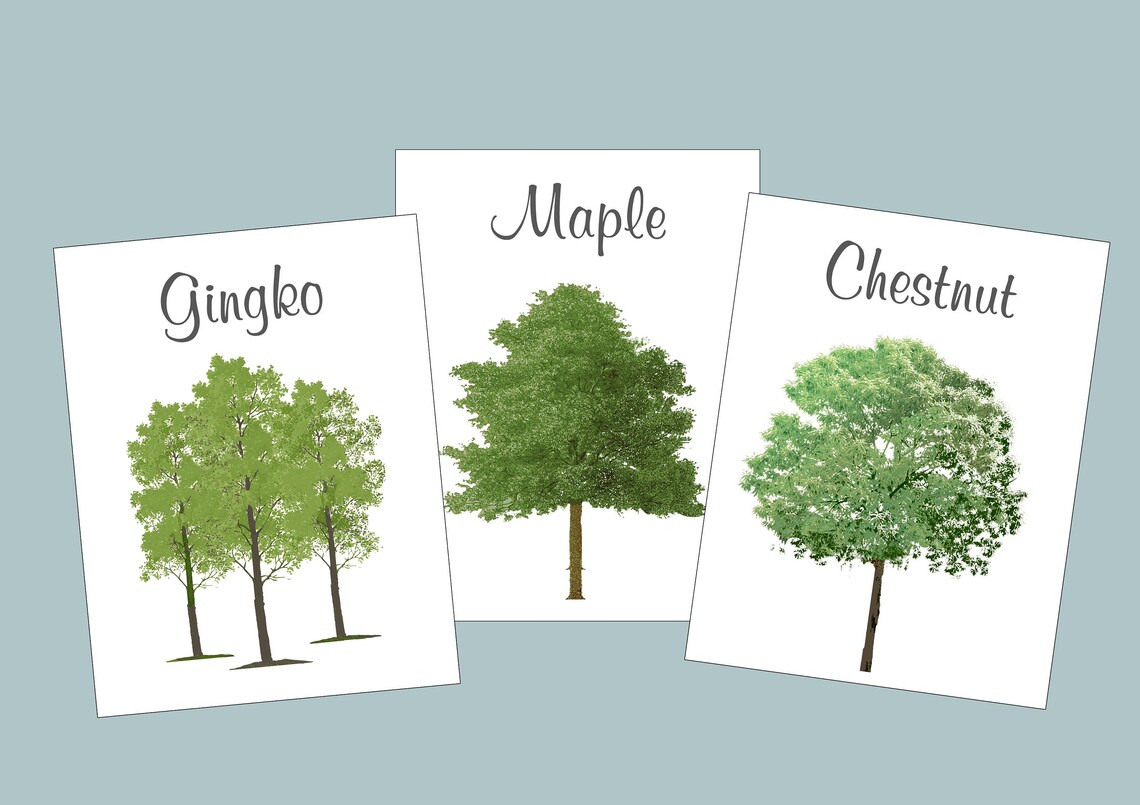 Tree Table Cards Botanical Cards Woodland Table Tents - Etsy