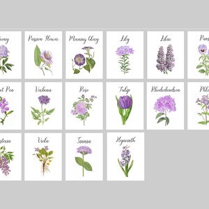 Table Numbers With Purple Flowers, Lavender, Lilac, Violet Table Cards ...
