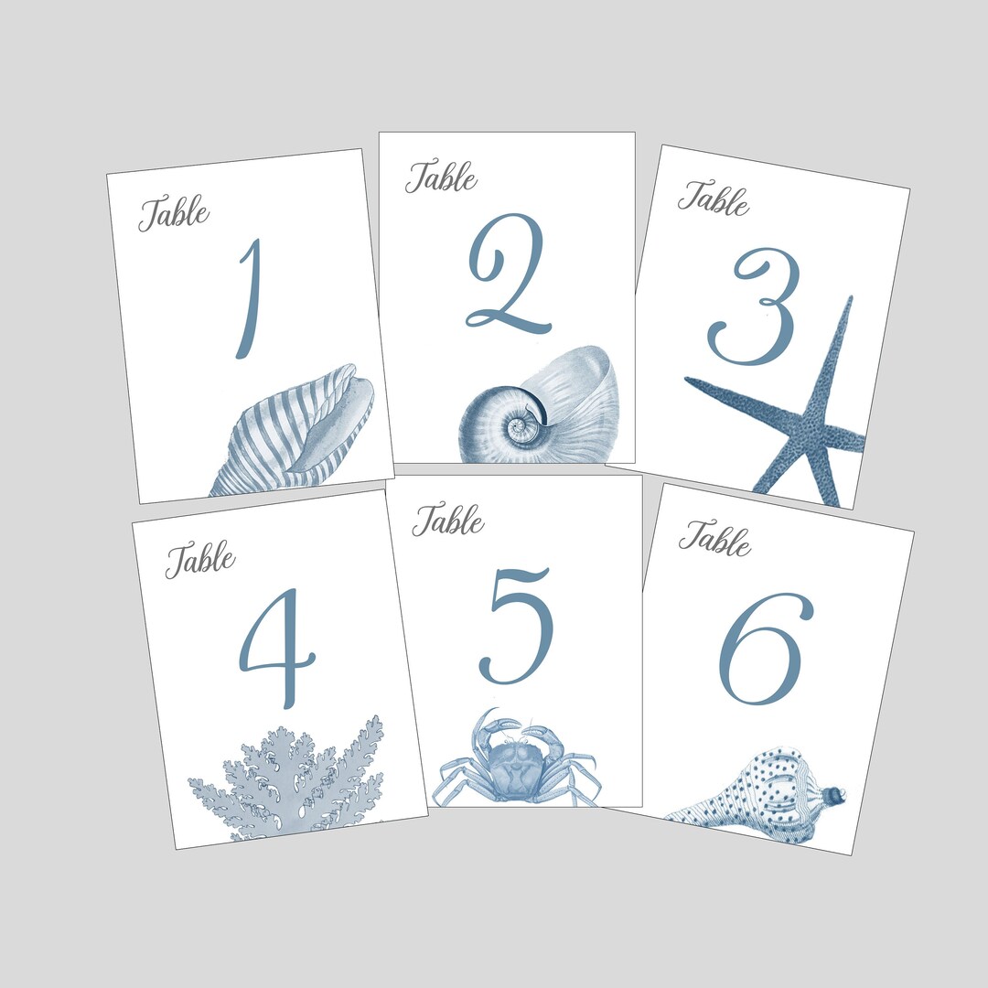 Shell Table Numbers Beach Wedding Shell Cards Surf and Turf - Etsy
