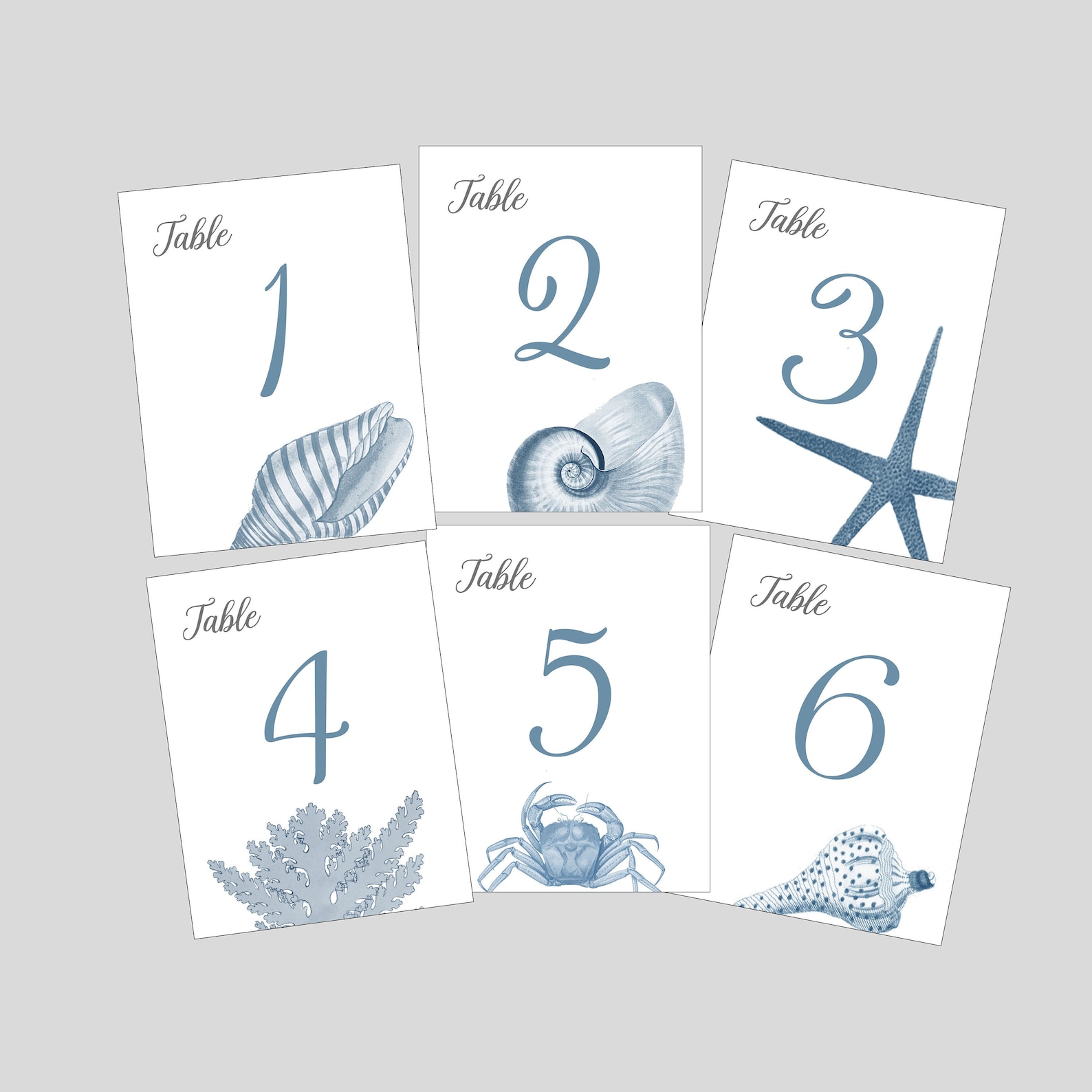Shell Table Numbers, Beach Wedding, Shell Cards, Surf and Turf Wedding ...