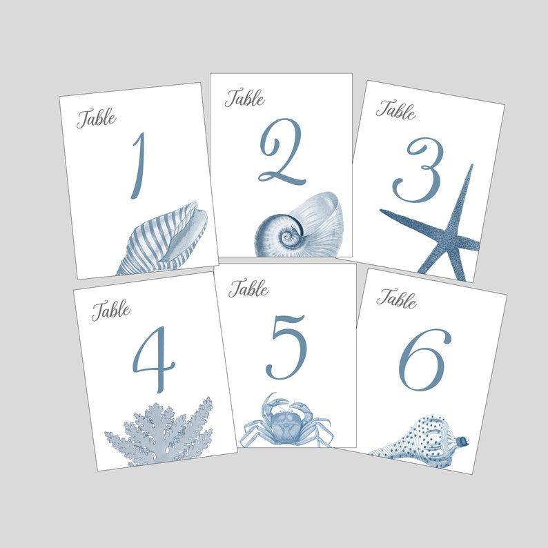 Shell Table Numbers, Beach Wedding, Shell Cards, Surf and Turf Wedding ...