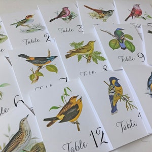 Bird Table NUMBERS, Bird Table Tent Cards, Wedding Table Cards With ...