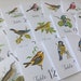 Bird Table NUMBERS, Bird Table Tent Cards, Wedding Table Cards With ...
