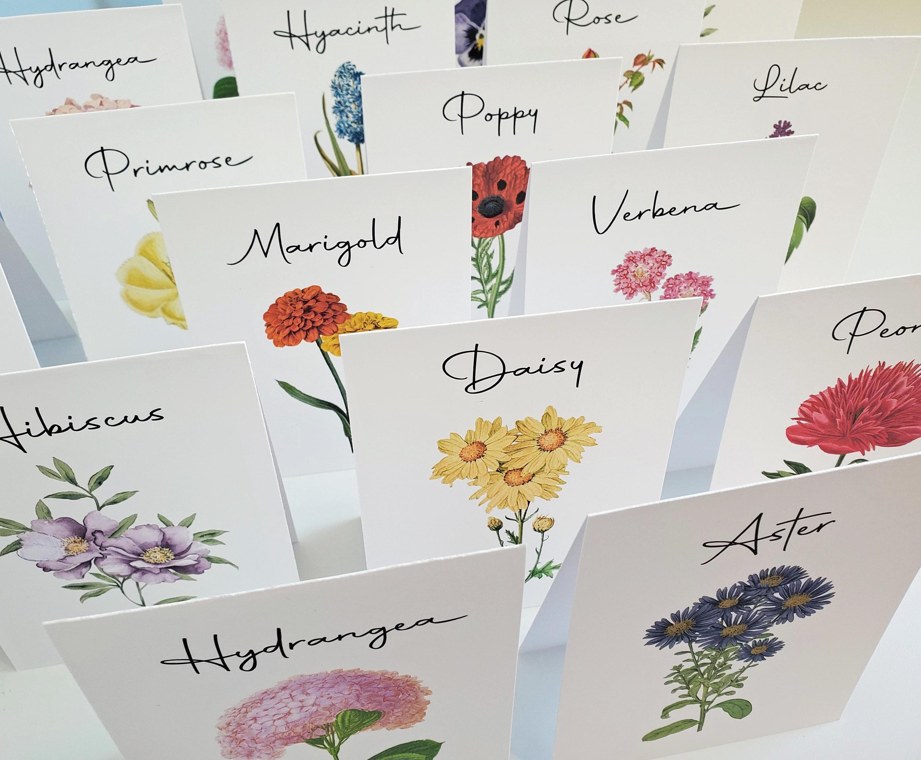 Flower NAME Table Cards, Wedding Table Cards, Botanical Table Cards ...