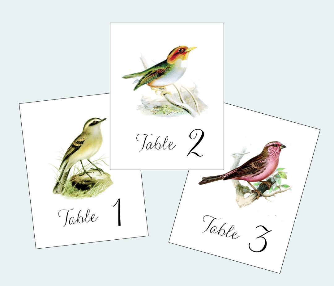 Bird Table NUMBERS, Bird Table Tent Cards, Wedding Table Cards With ...