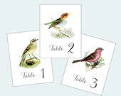 Bird Table NUMBERS Bird Table Tent Cards Wedding Table Cards | Etsy