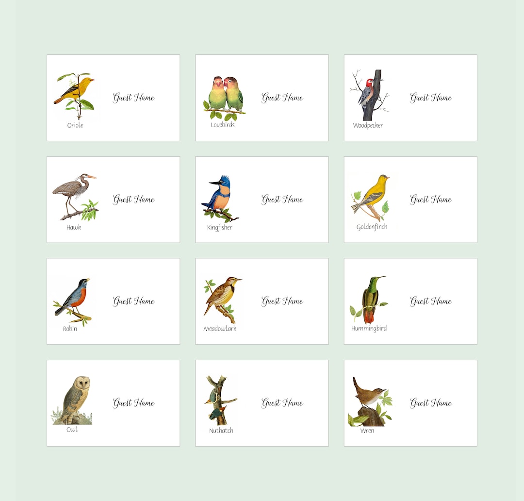 Bird Place Cards, Wedding Escort Cards, Multiple Illustrations, Folded ...