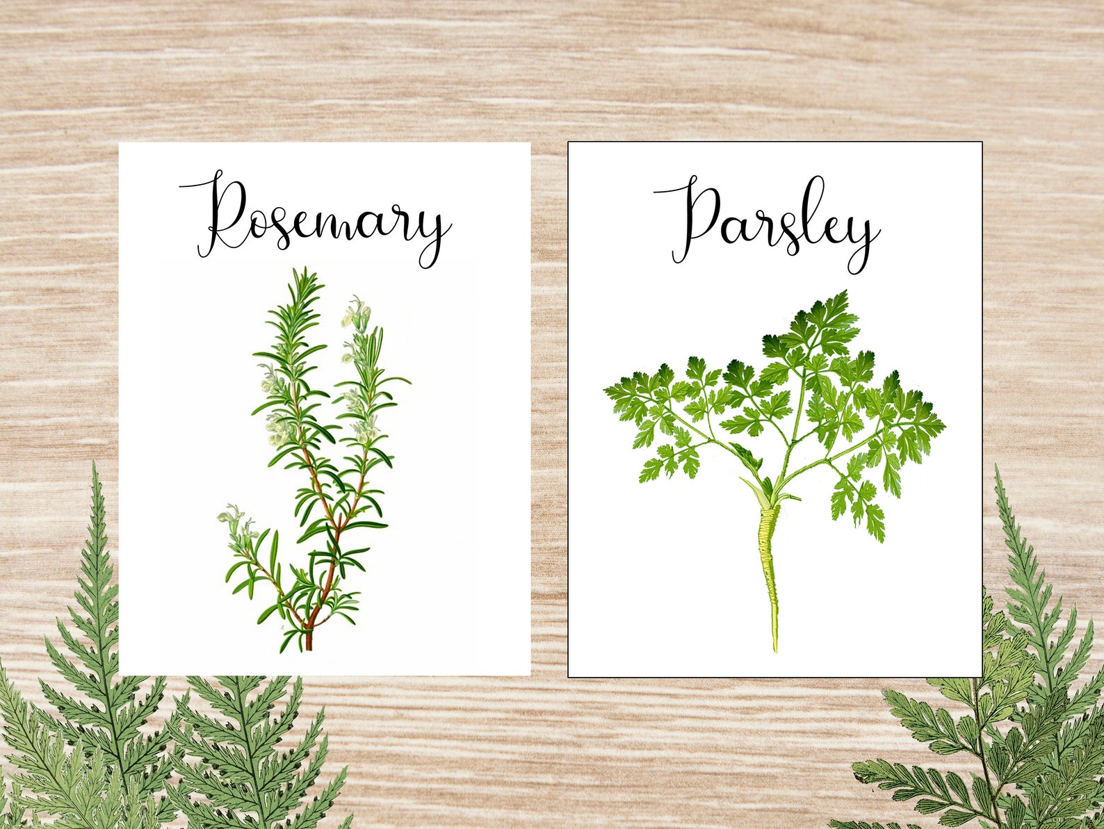 Herb Table Cards Herb Table Numbers Herb Table Tents Herb - Etsy