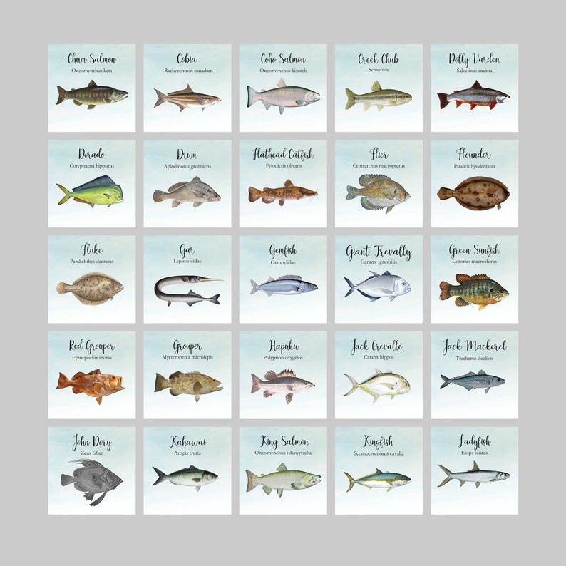 Fish Place Cards, Wedding Place Cards, Escort Cards, Multiple ...
