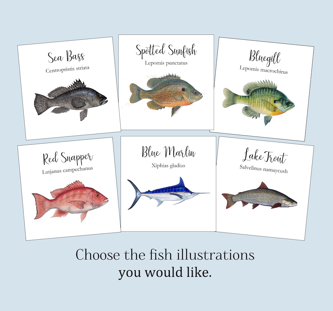 Fish Table Cards, Summer Wedding Table Cards, Freshwater Fish, Camping ...