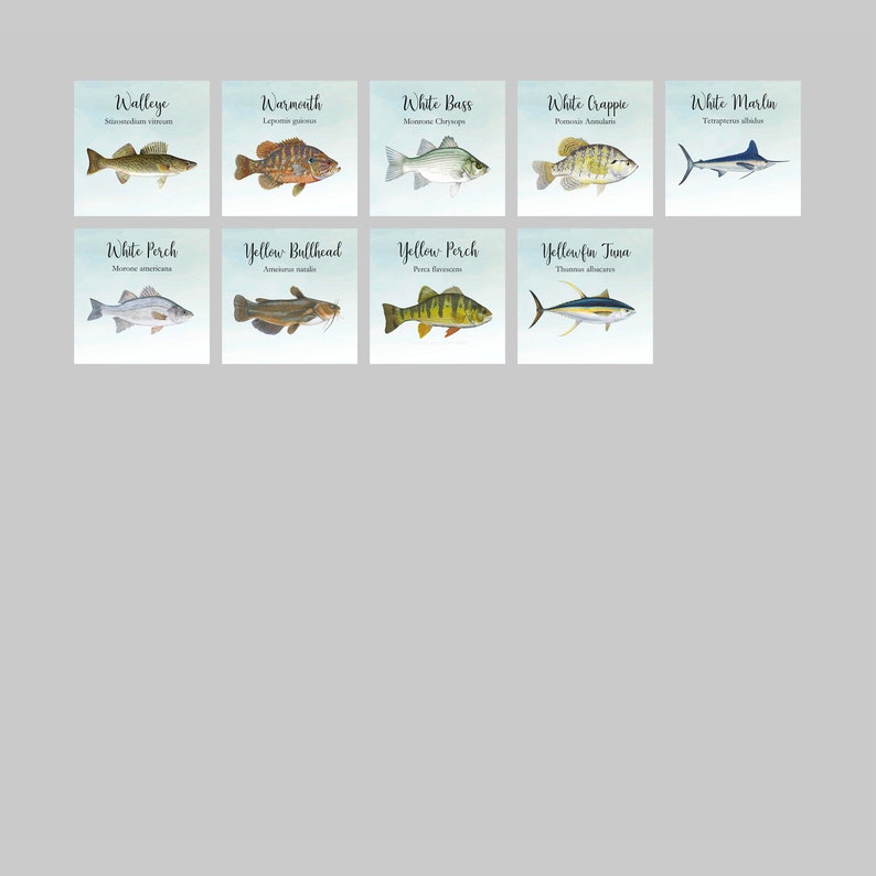 Fish Seating Charts Fishing Seating Cards Fish Seating - Etsy
