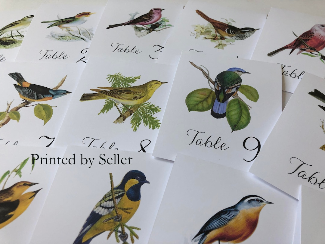 Bird Table NUMBERS, Bird Table Tent Cards, Wedding Table Cards With ...