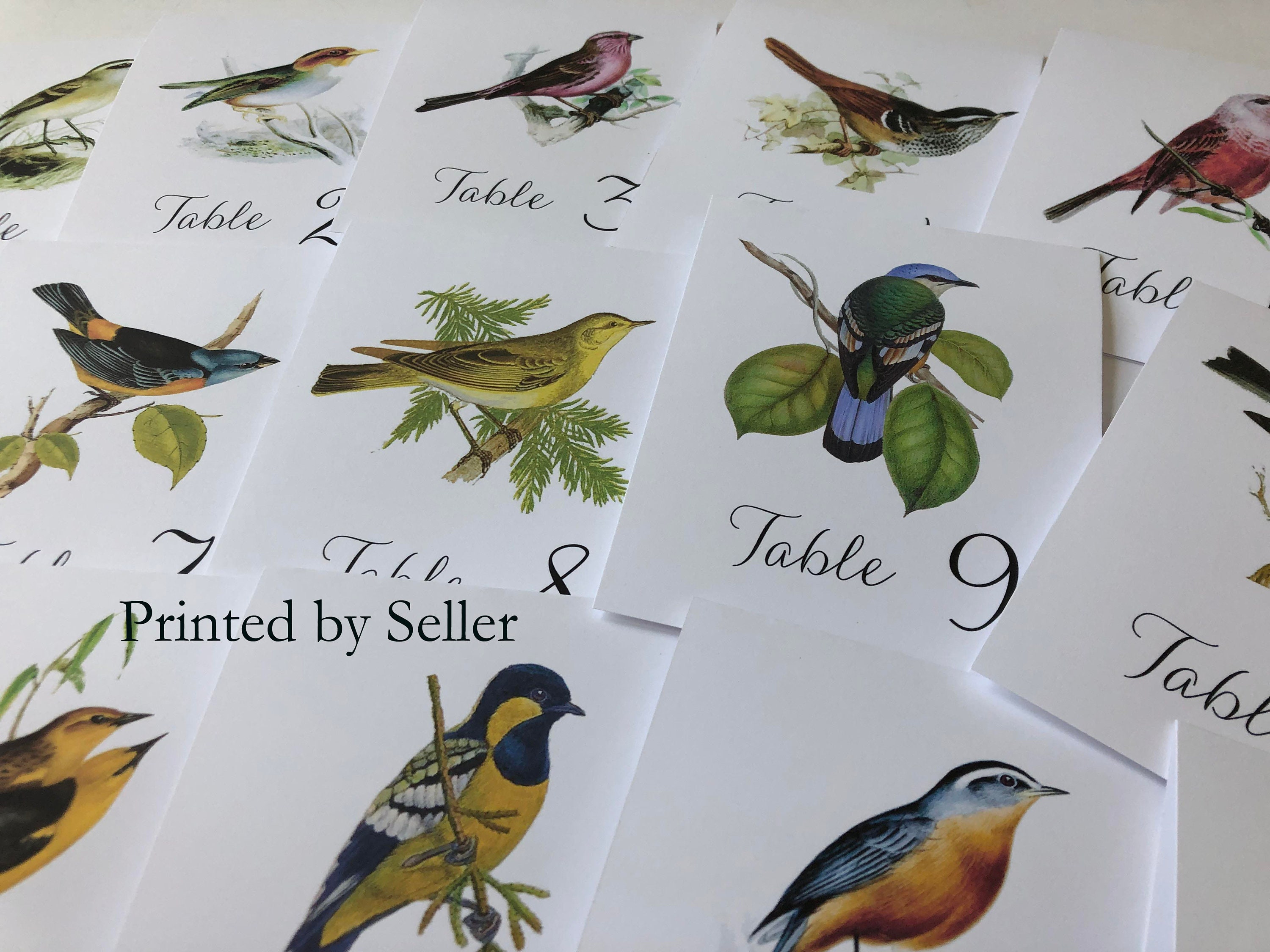 Bird Table NUMBERS Bird Table Tent Cards Wedding Table Cards | Etsy