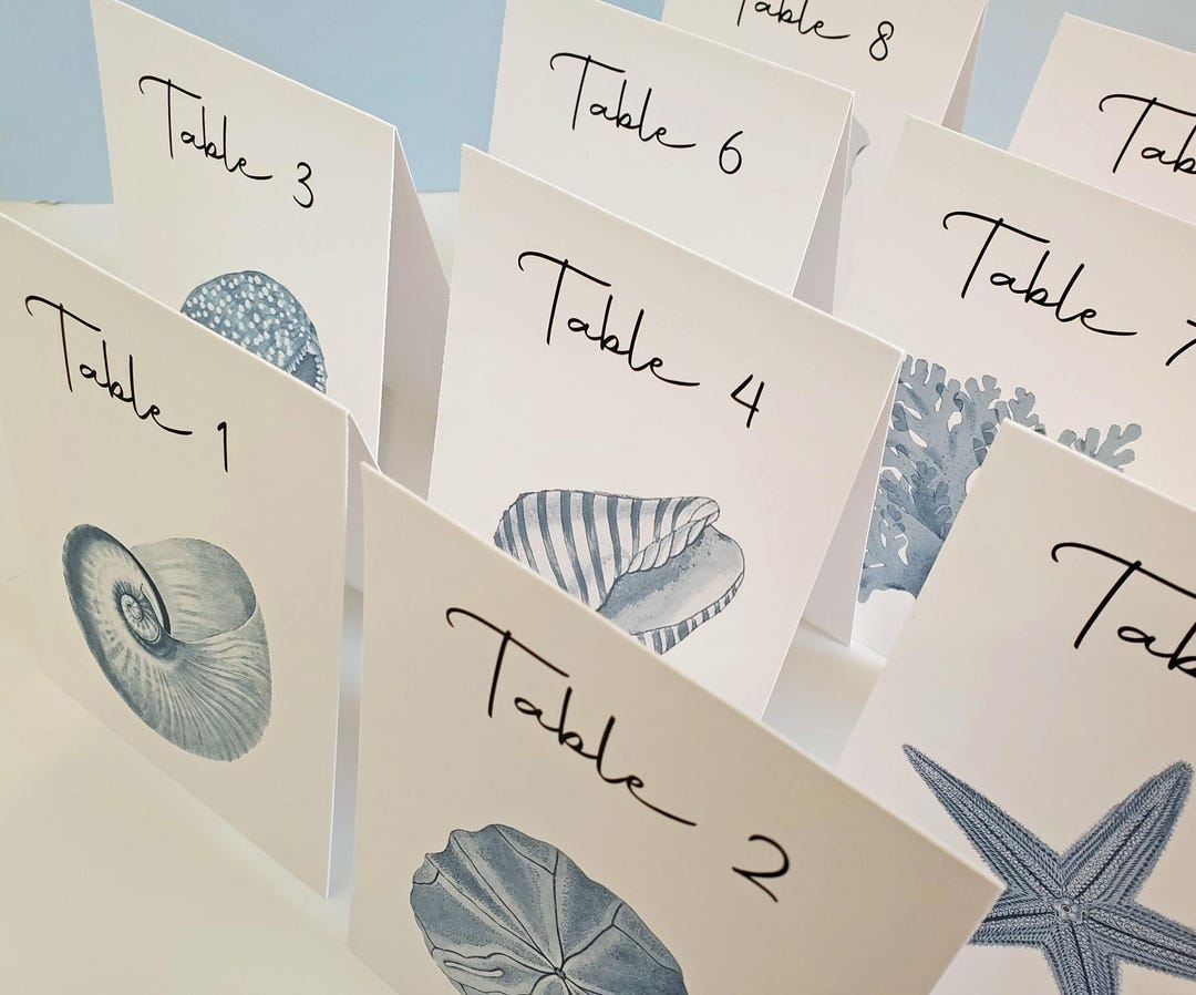 Blue or Aqua Shell Cards, Beach Wedding, Shell Table Numbers, Surf and ...