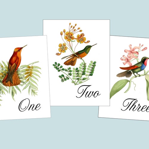 HUMMINGBIRD Table Topper - Etsy