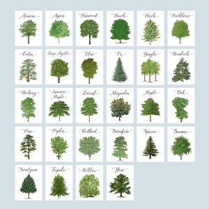 Tree Table Cards, Botanical Cards, Woodland Table Tents, Wedding Table ...