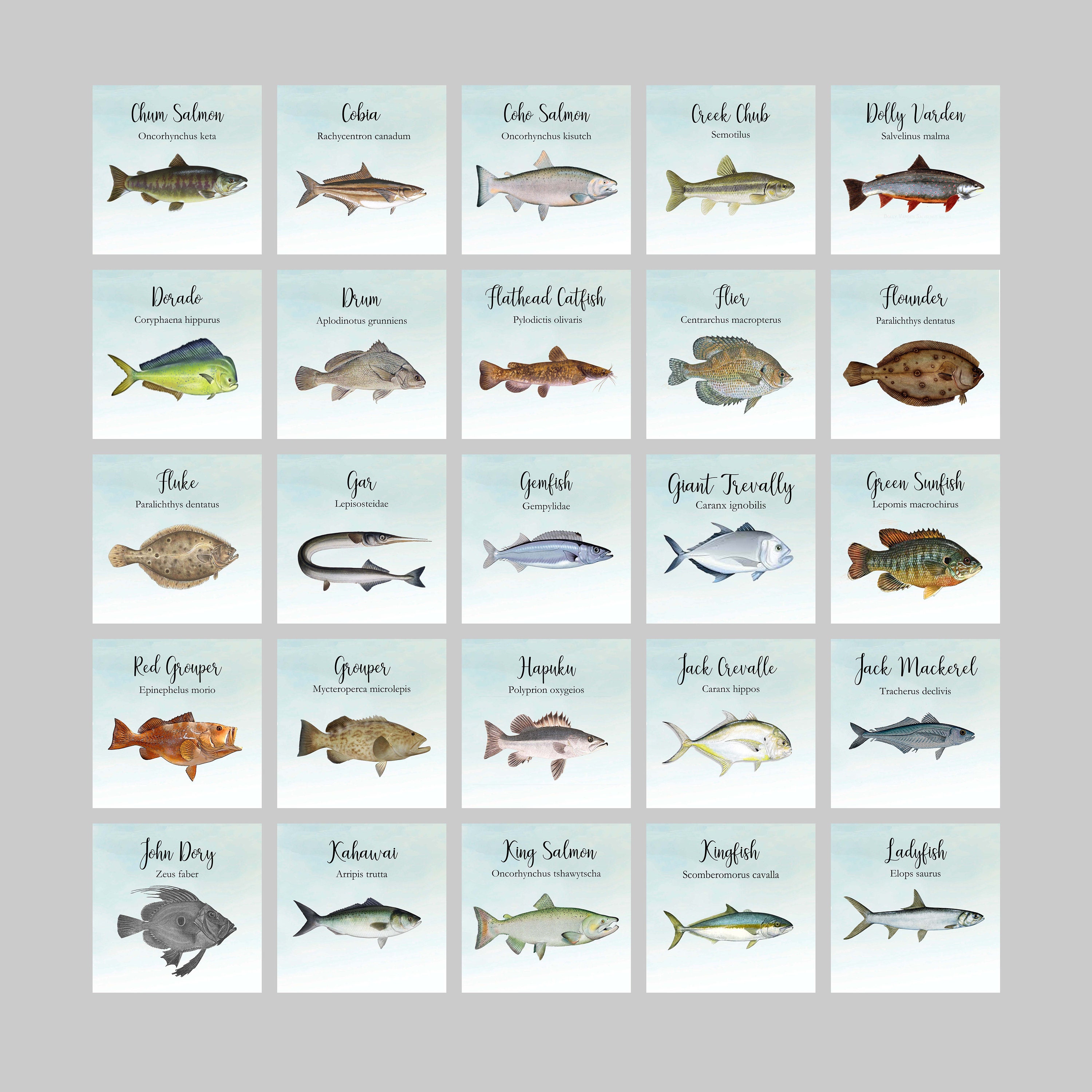 Fish Seating Charts, Fishing Seating Cards, Fish Seating Charts ...