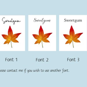 Autumn Leaf Table Cards, Autumn Leaf Table Tents, Autumn Wedding Table ...