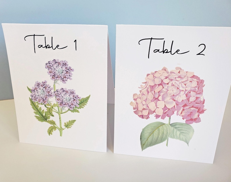 PASTEL Flower Table NUMBERS, Floral Wedding Cards, Botanical Assortment ...