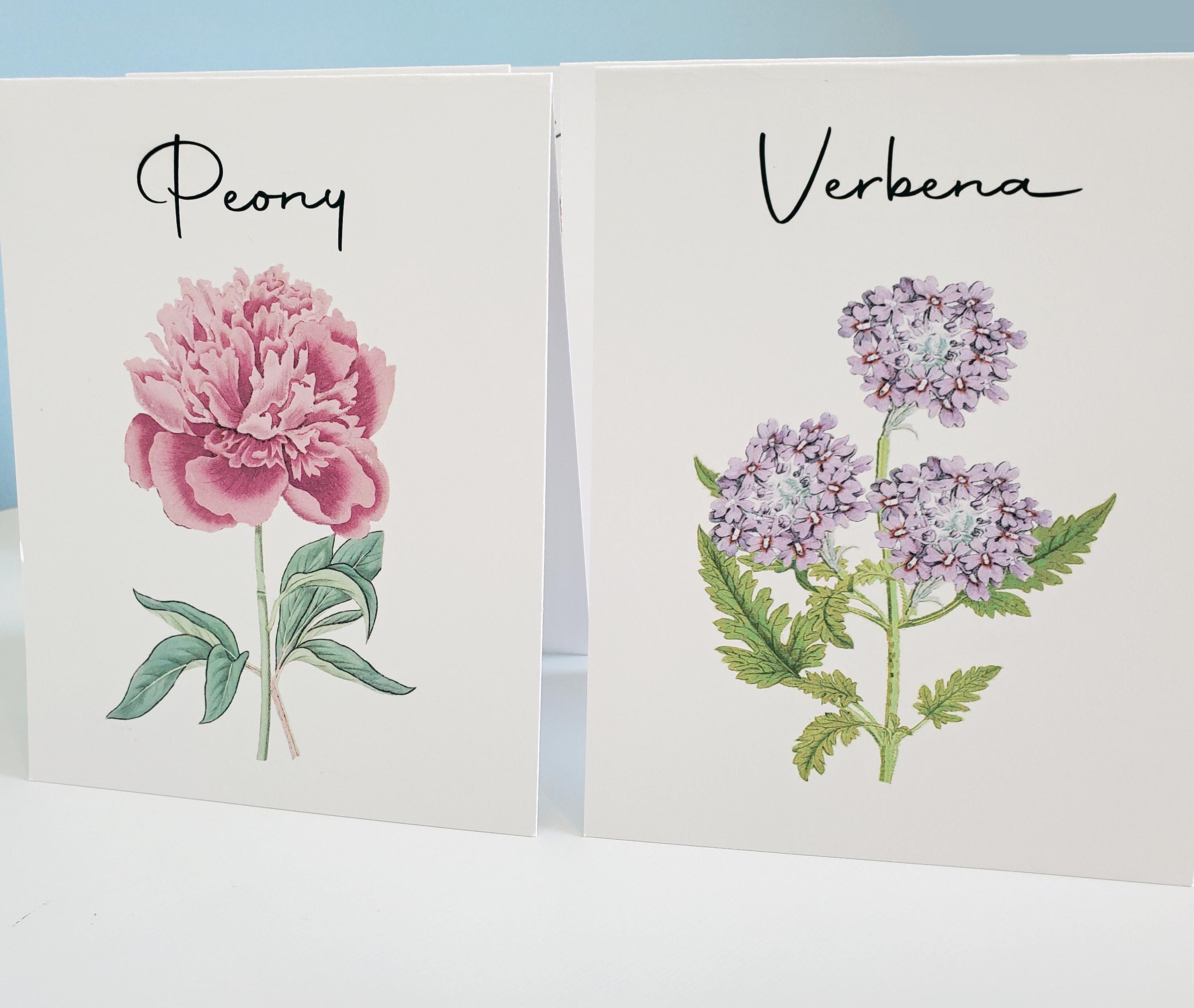 PASTEL Flower NAME Table Cards, Wedding Table Cards, Botanical Table ...