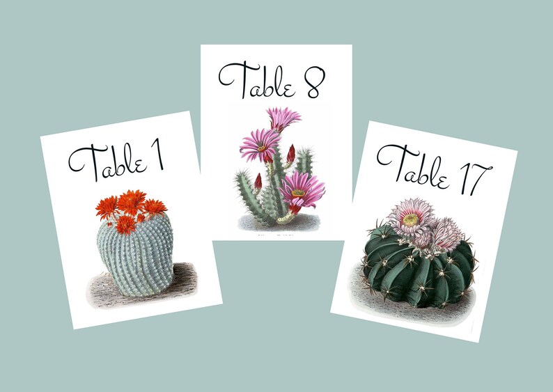 Cactus Table Numbers Desert Table Tents Cactus Table Cards - Etsy