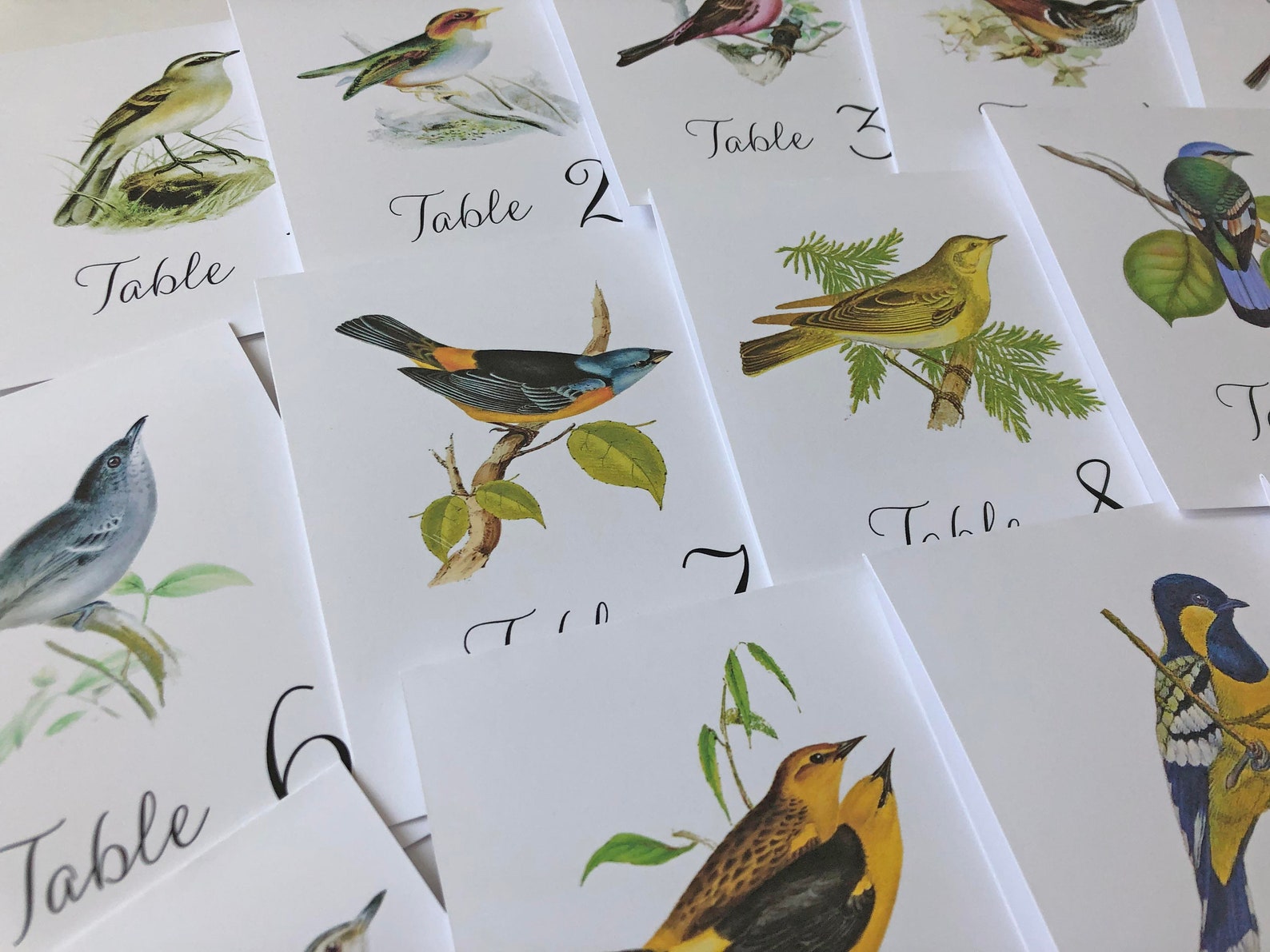 Bird Table NUMBERS, Bird Table Tent Cards, Wedding Table Cards With ...