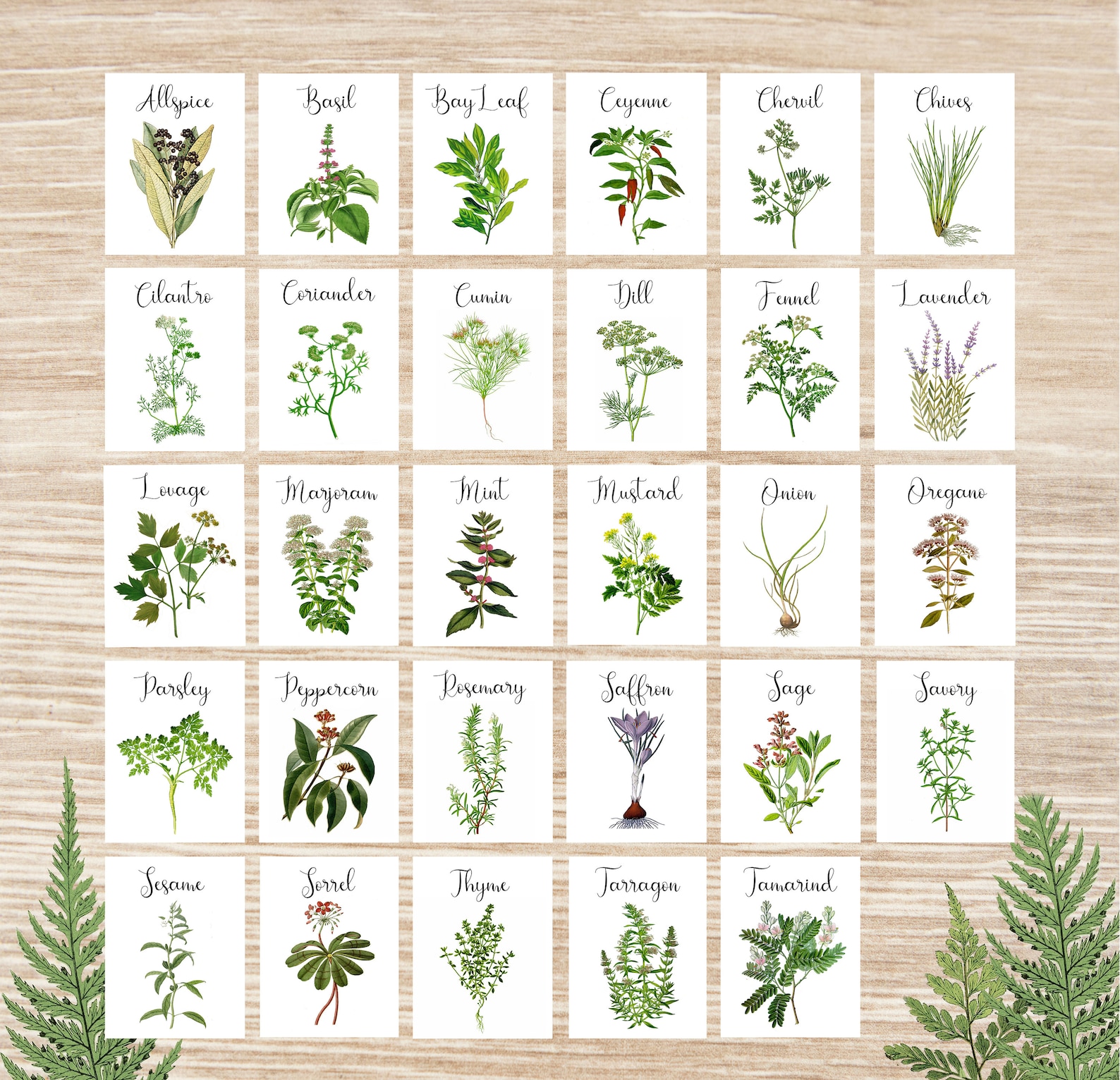 Herb Table Cards, Herb Table Numbers, Herb Table Tents, Herb Wedding ...