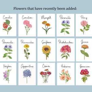 Flower Seating Cards, Floral Seating, Seating Cards by Table Number ...