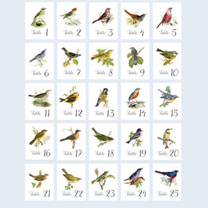 Bird Table NUMBERS, Bird Table Tent Cards, Wedding Table Cards With ...