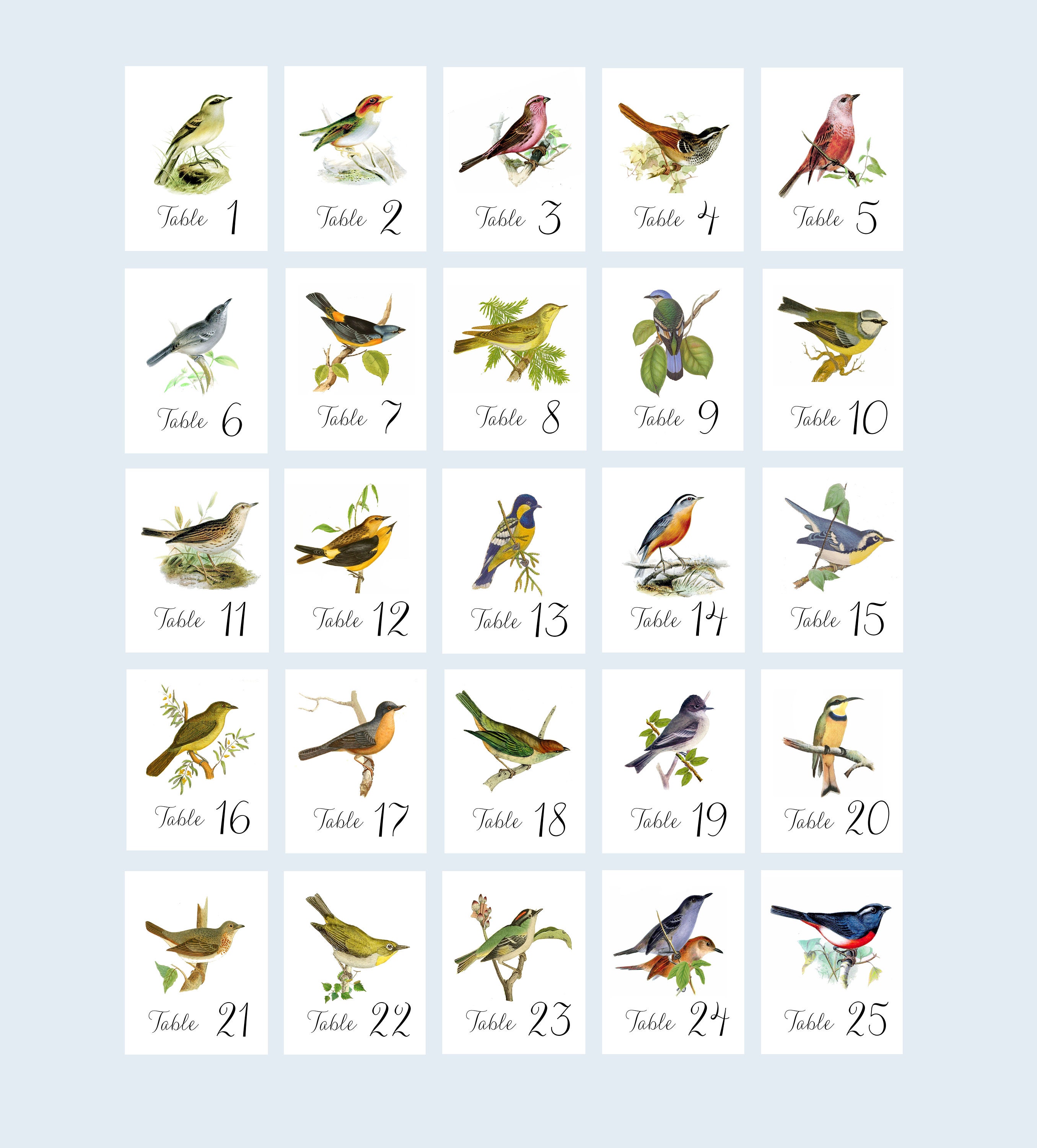Bird Table NUMBERS, Bird Table Tent Cards, Wedding Table Cards With ...