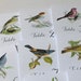 Bird Table NUMBERS, Bird Table Tent Cards, Wedding Table Cards With ...