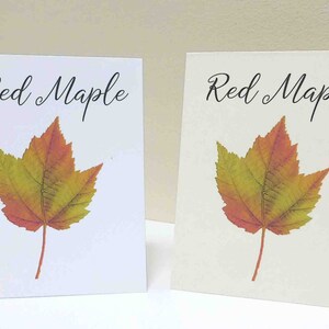 Autumn Leaf Table Cards, Autumn Leaf Table Tents, Autumn Wedding Table ...