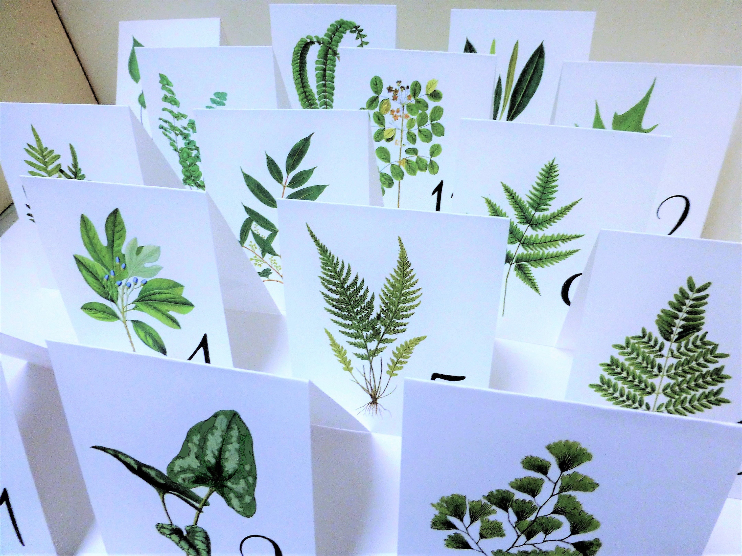Woodland Leaf Table Cards, Botanical Table Tents, Woodland Leaf Numbers ...