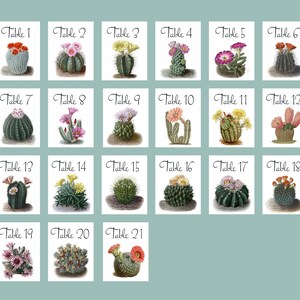 Cactus Table Numbers Desert Table Tents Cactus Table Cards - Etsy