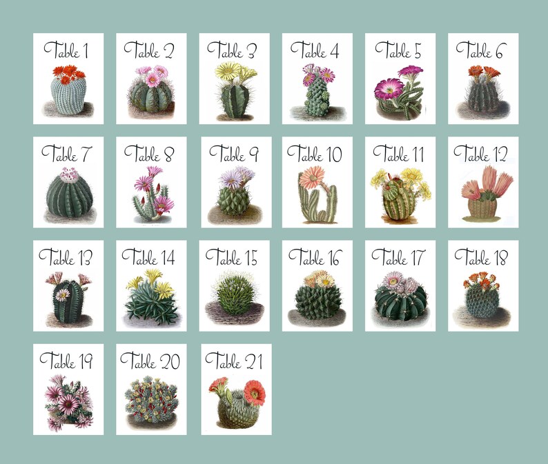 Cactus Table Numbers Desert Table Tents Cactus Table Cards - Etsy