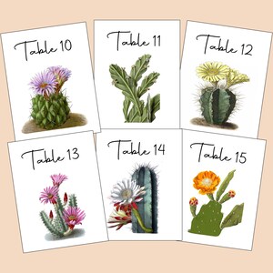 Cactus Table Numbers, Desert Table Tents, Cactus Table Cards, Desert ...