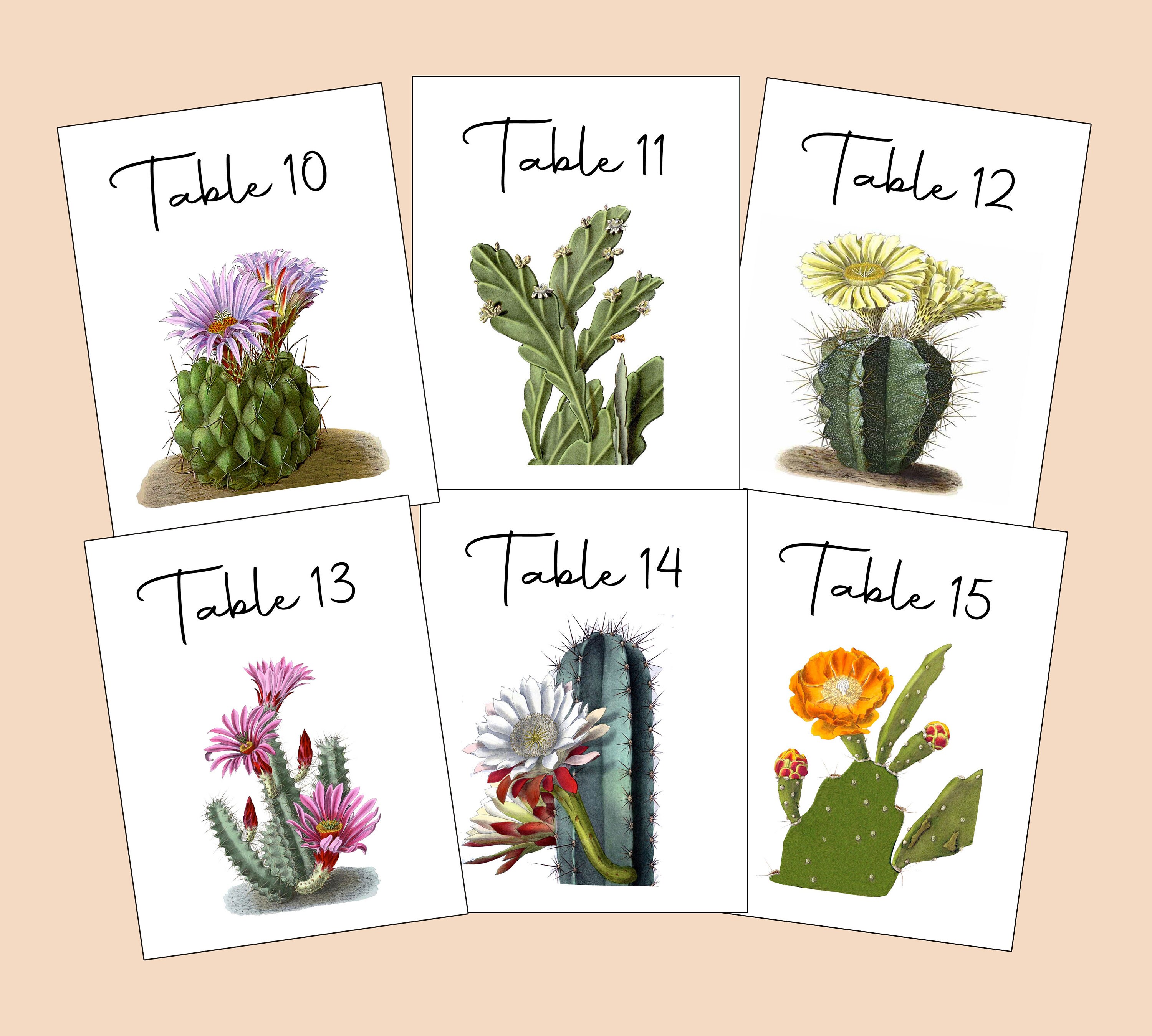 Cactus Table Numbers, Desert Table Tents, Cactus Table Cards, Desert ...