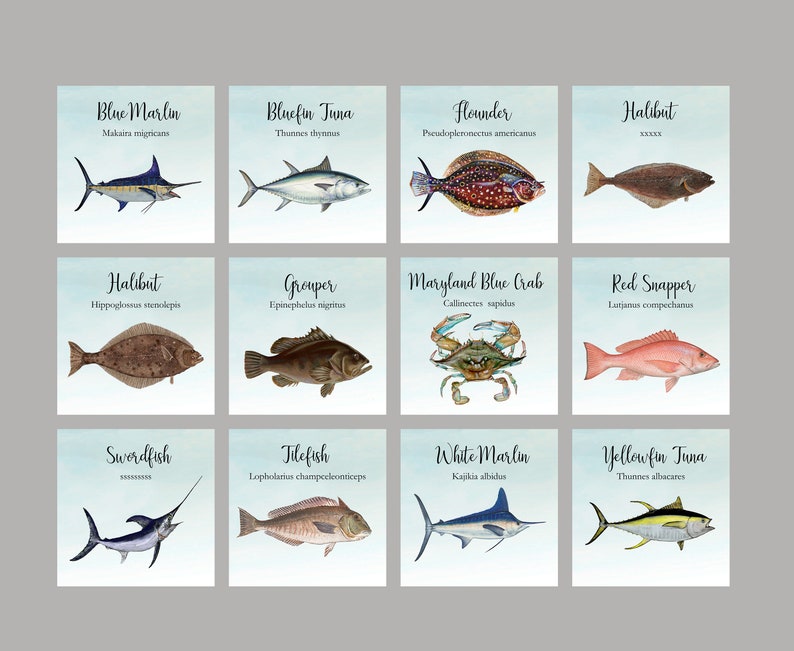 Fish Table Cards Summer Wedding Table Cards Freshwater Fish | Etsy
