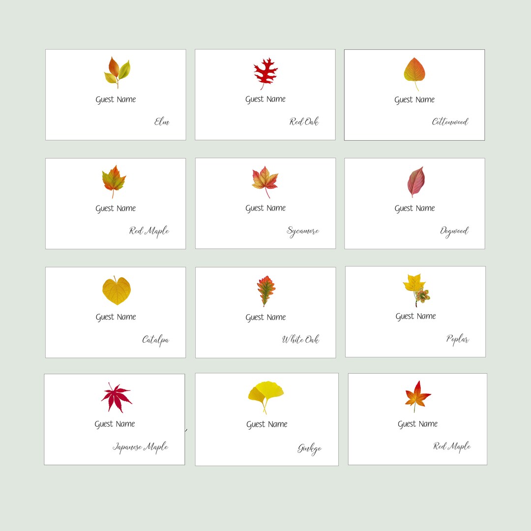 Autumn Leaf Place Cards, Wedding Escort Cards, Multiple Illustration ...