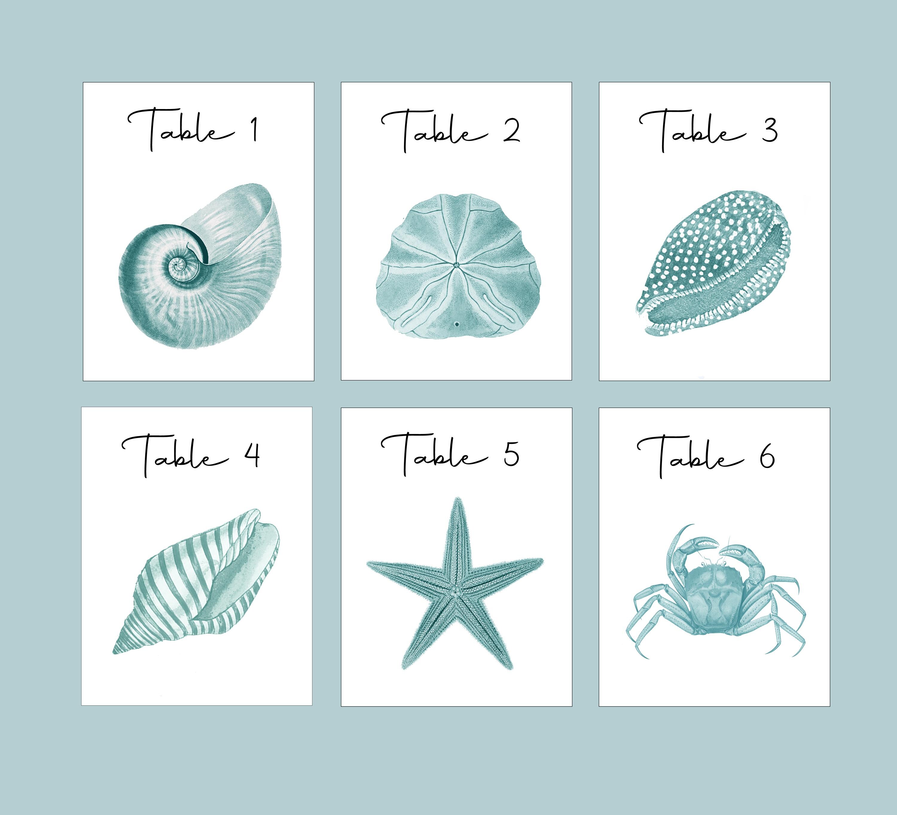 Blue or Aqua Shell Cards, Beach Wedding, Shell Table Numbers, Surf and ...