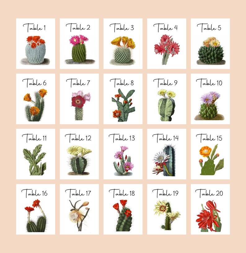 Multiple Cactus Escort or Place Cards, Wedding or Special Event, Folded ...