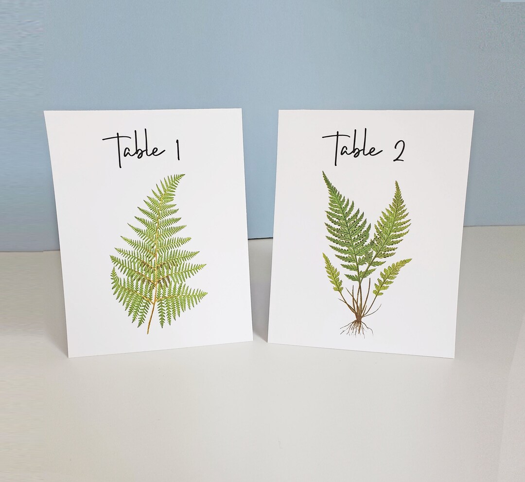 FERN Table Cards, Fern Table Numbers, Woodland Table Tents, Wedding ...
