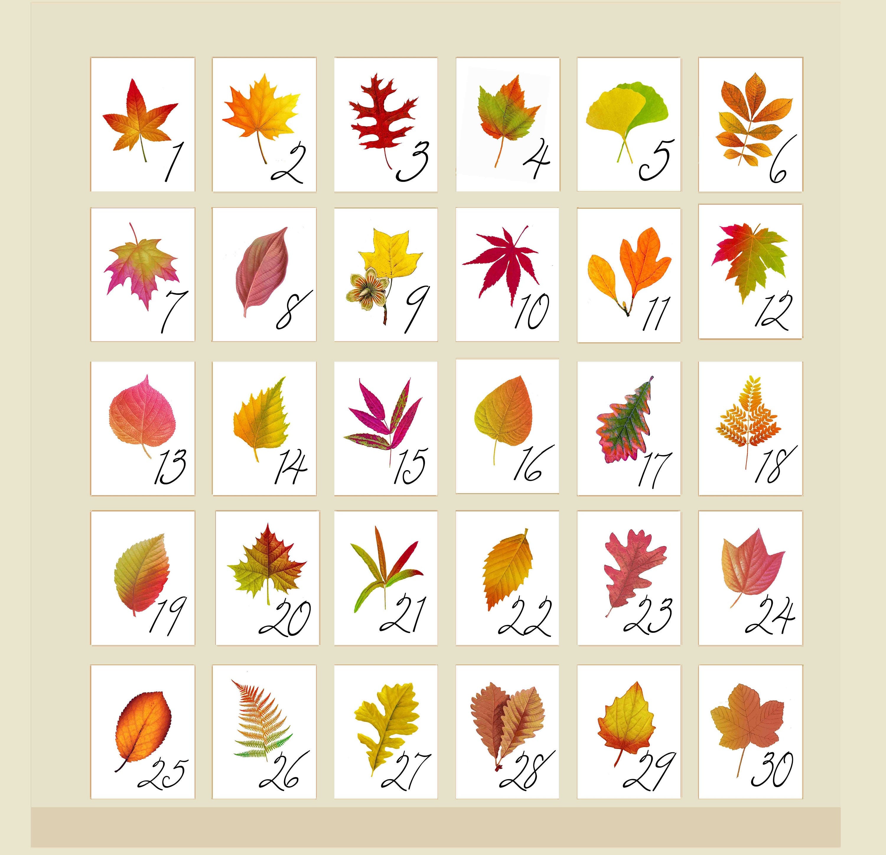 Autumn Leaf Table Numbers Fall Table Cards Autumn Wedding - Etsy