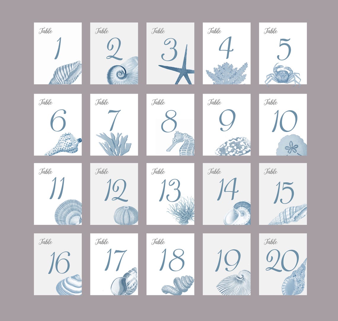 Shell Table Numbers Beach Wedding Shell Cards Surf and Turf - Etsy