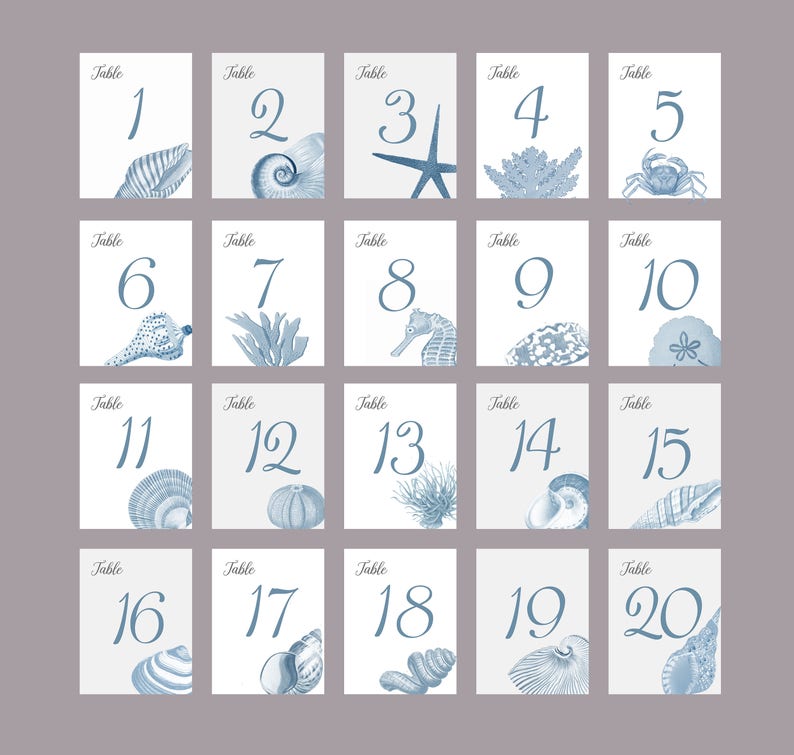 Shell Table Numbers Beach Wedding Shell Cards Surf and Turf - Etsy