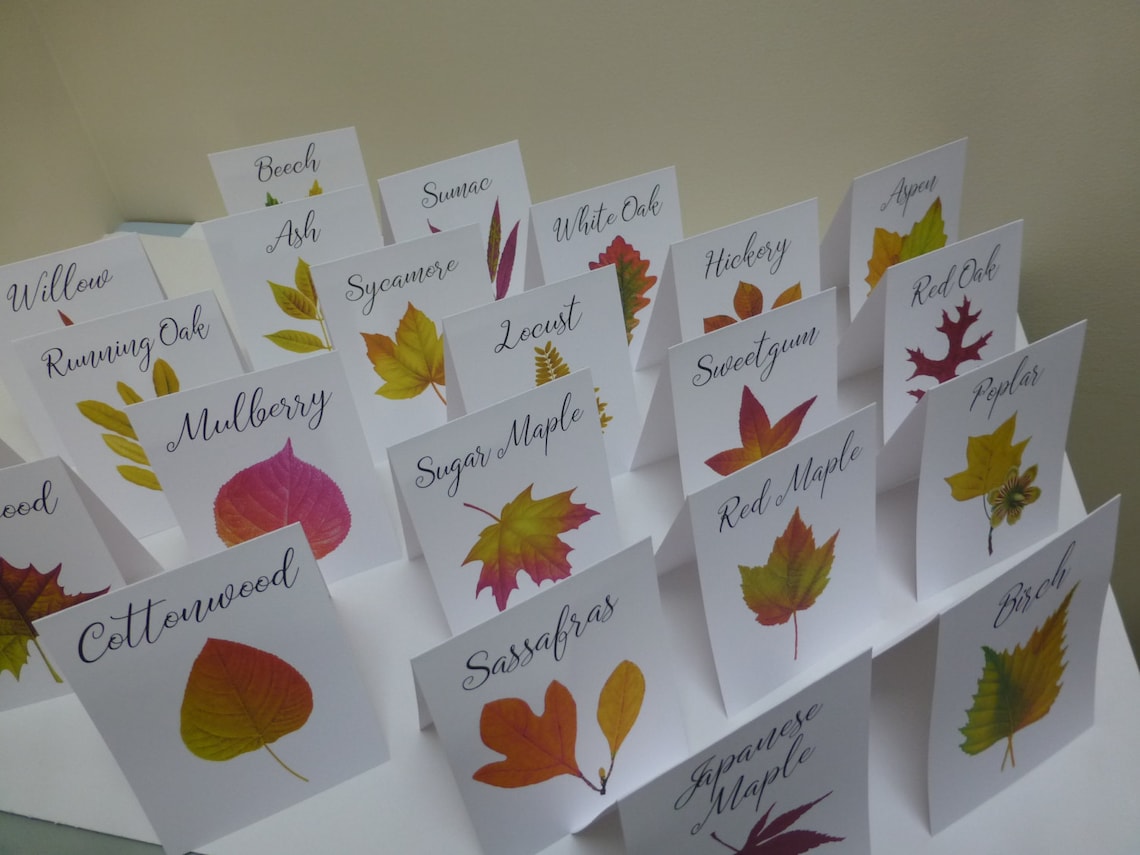 Autumn Leaf Table Cards Autumn Leaf Table Tents Autumn - Etsy