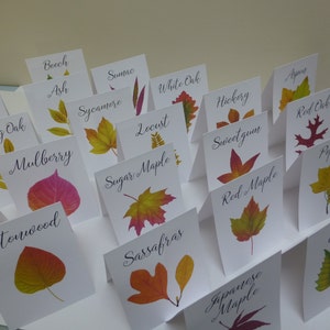 Autumn Leaf Table Cards, Autumn Leaf Table Tents, Autumn Wedding Table ...
