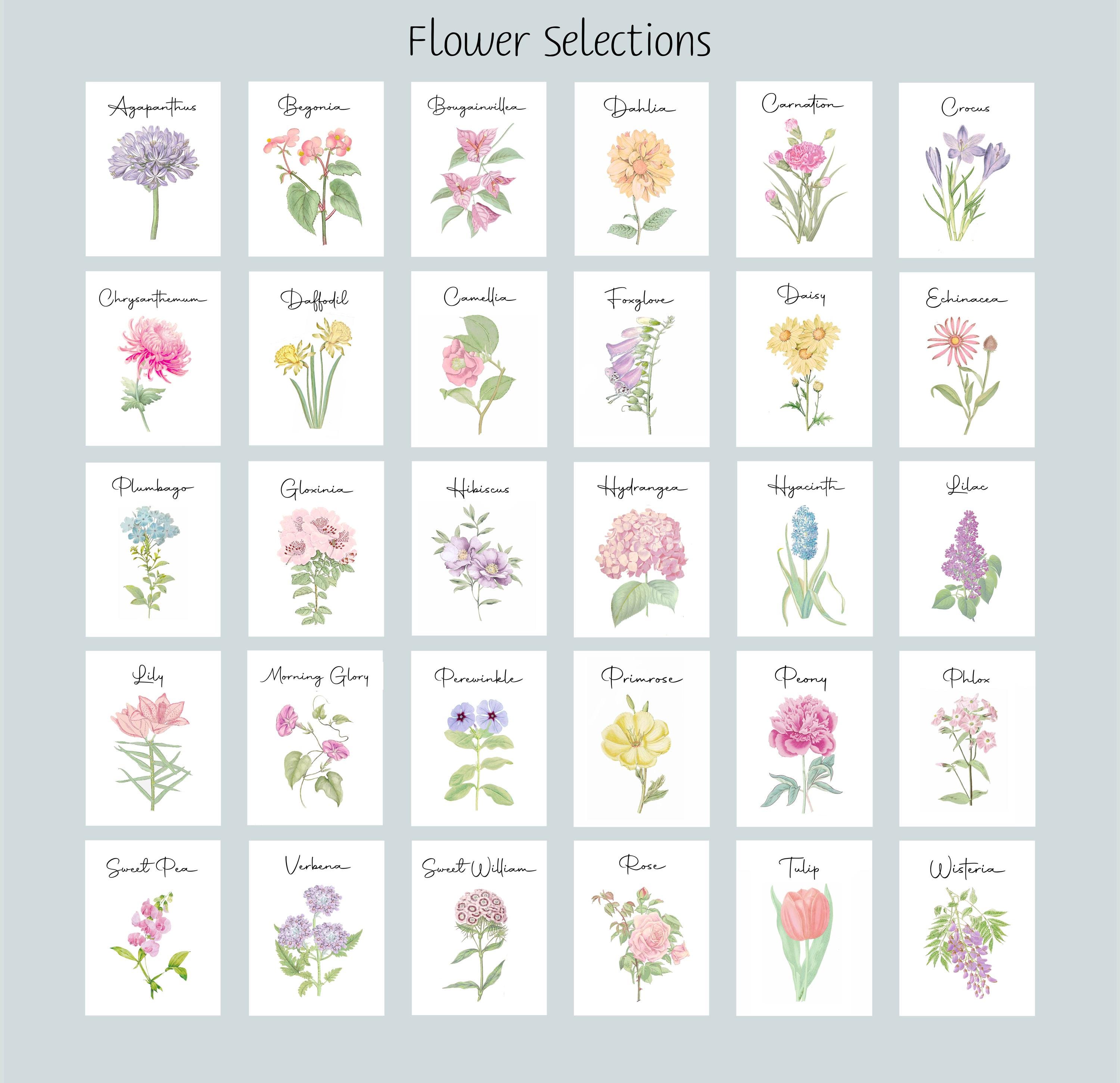 PASTEL Flower Table NUMBERS, Floral Wedding Cards, Botanical Assortment ...