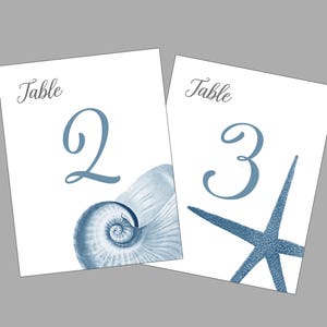 Shell Table Numbers, Beach Wedding, Shell Cards, Surf and Turf Wedding ...