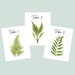 FERN Table Cards, Fern Table Numbers, Woodland Table Tents, Wedding ...